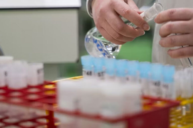 Calcium Carbonates – Idwala